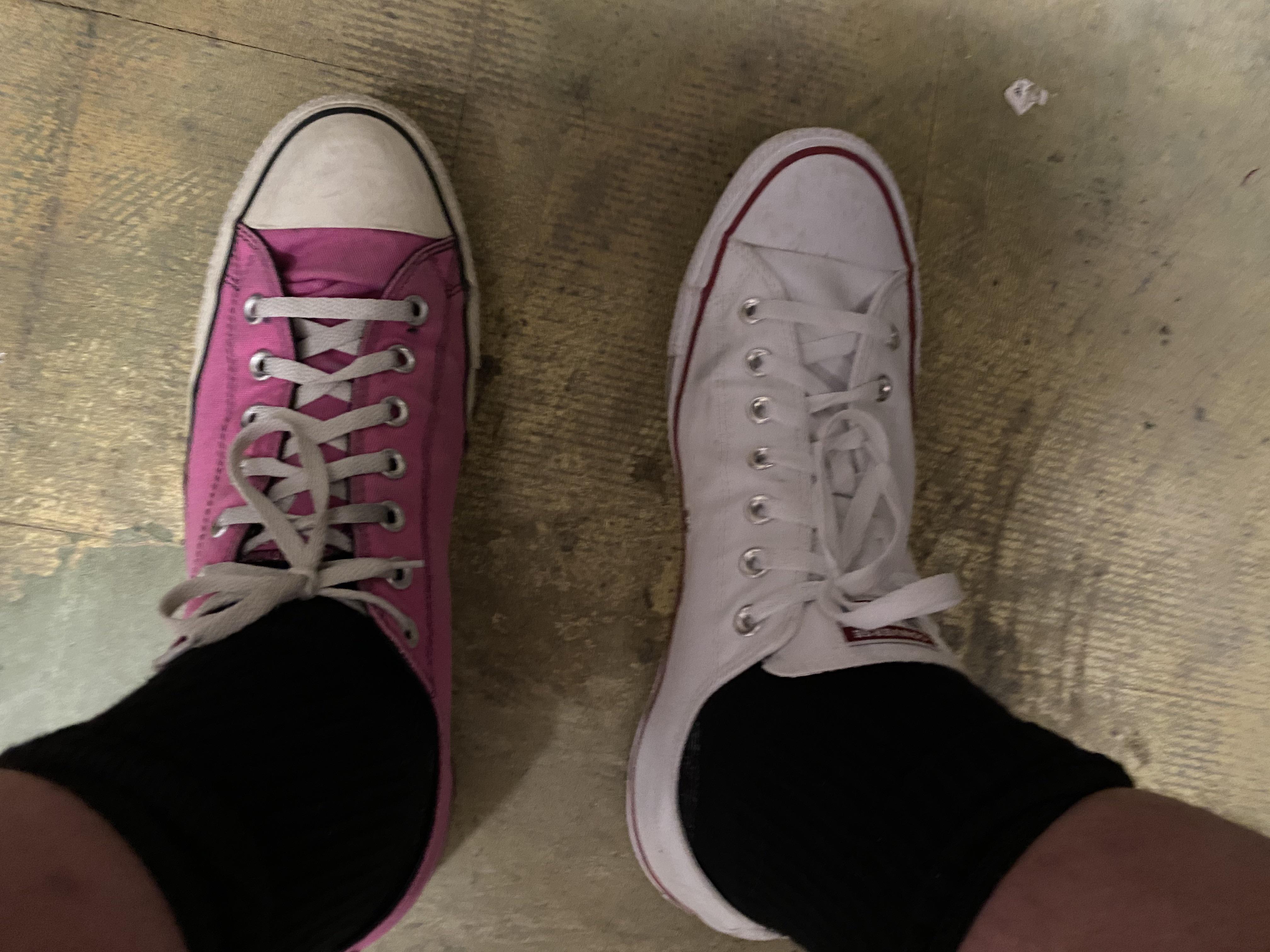 Today’s pair! | Scrolller