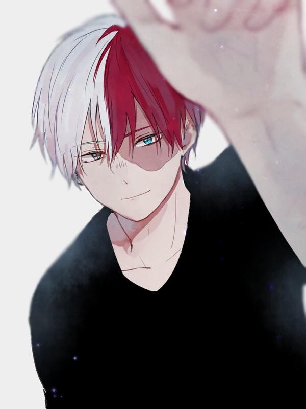 Todoroki | Scrolller