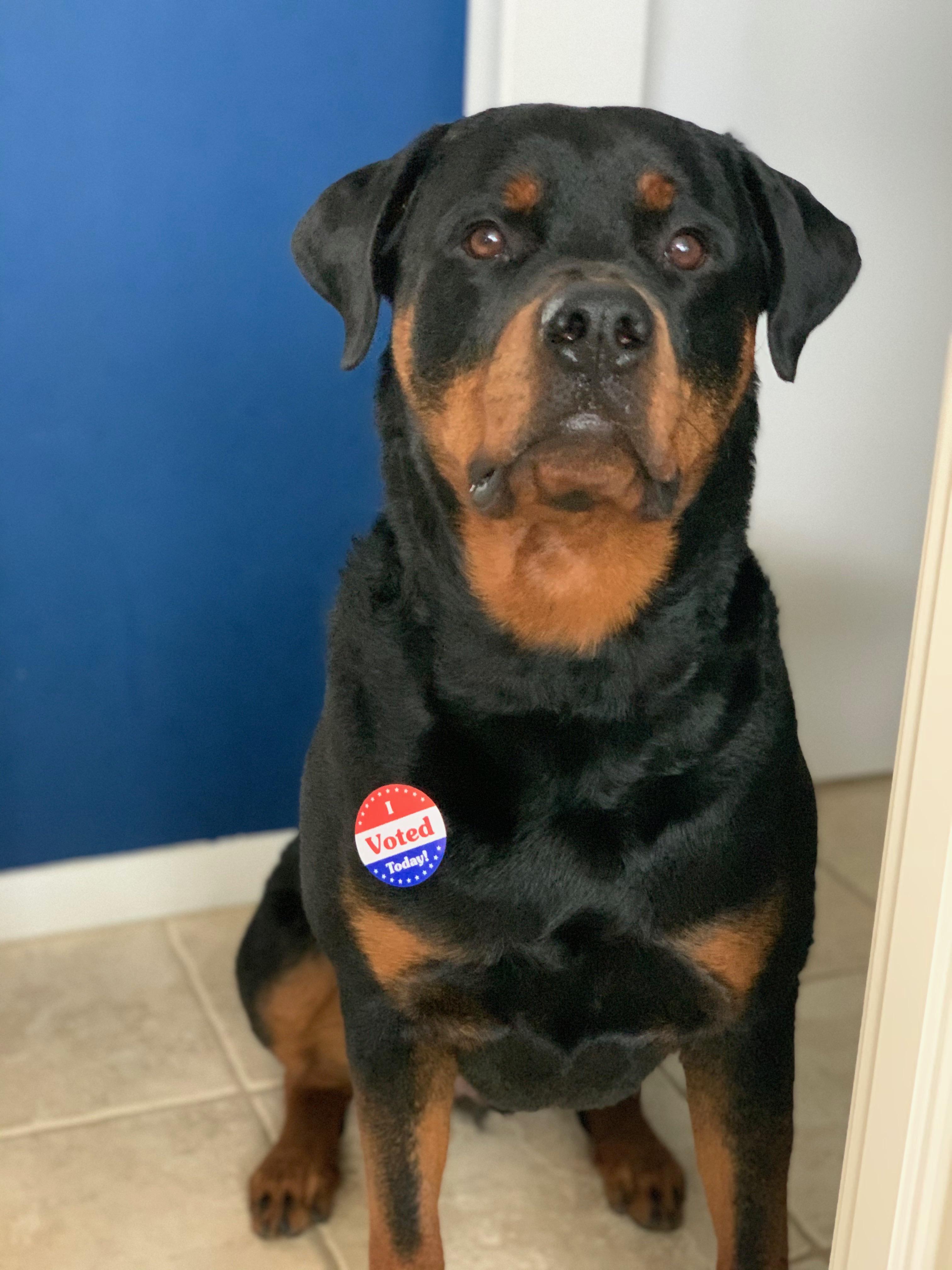 @tonyreckless | Scrolller