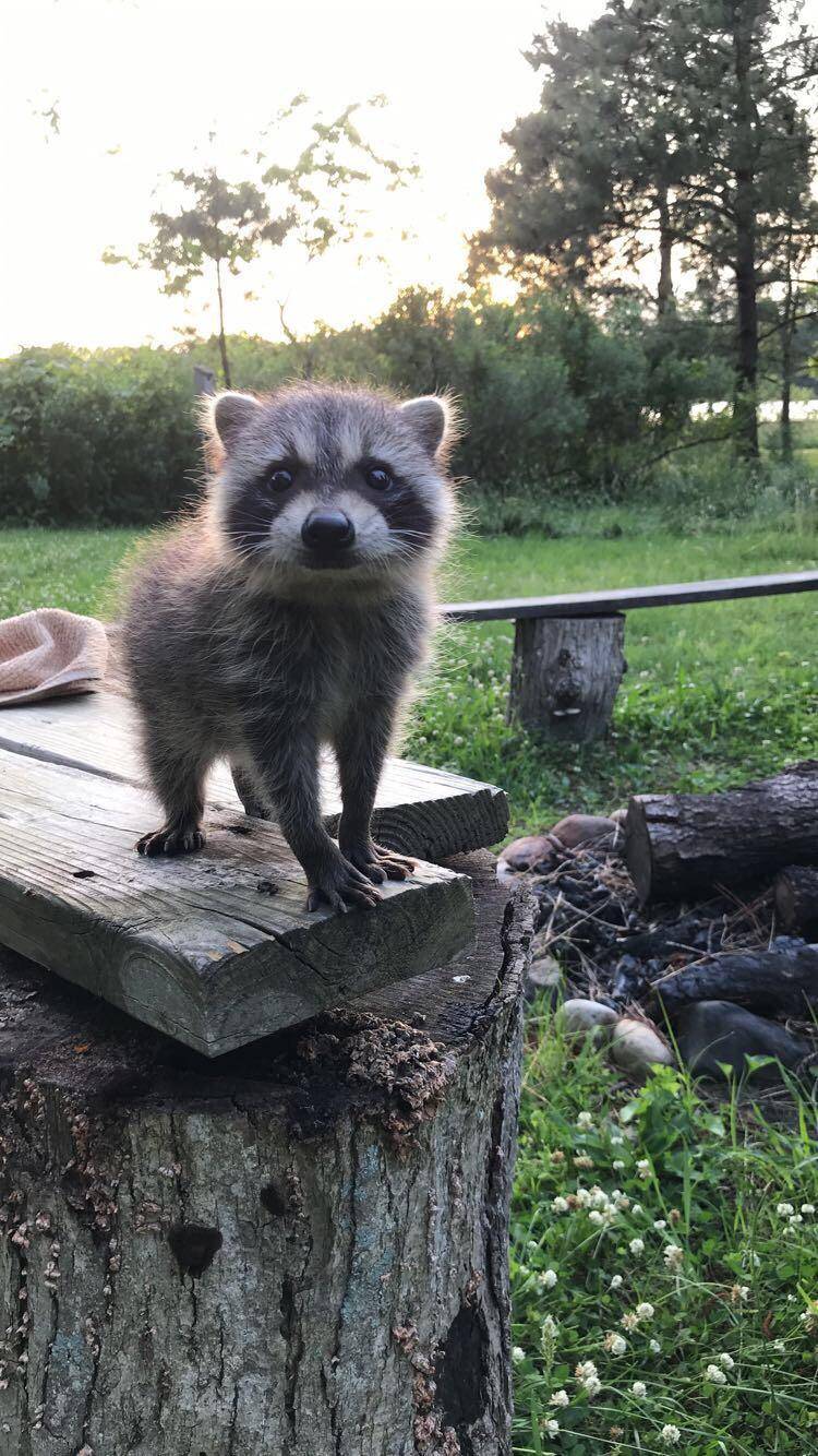 Took this shot today right before sunset! | Scrolller