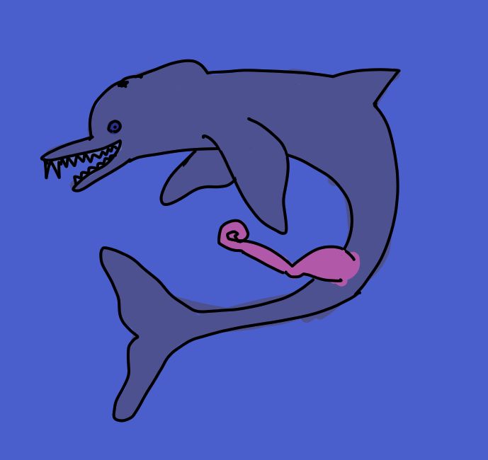 Tool-using dolphin | Scrolller