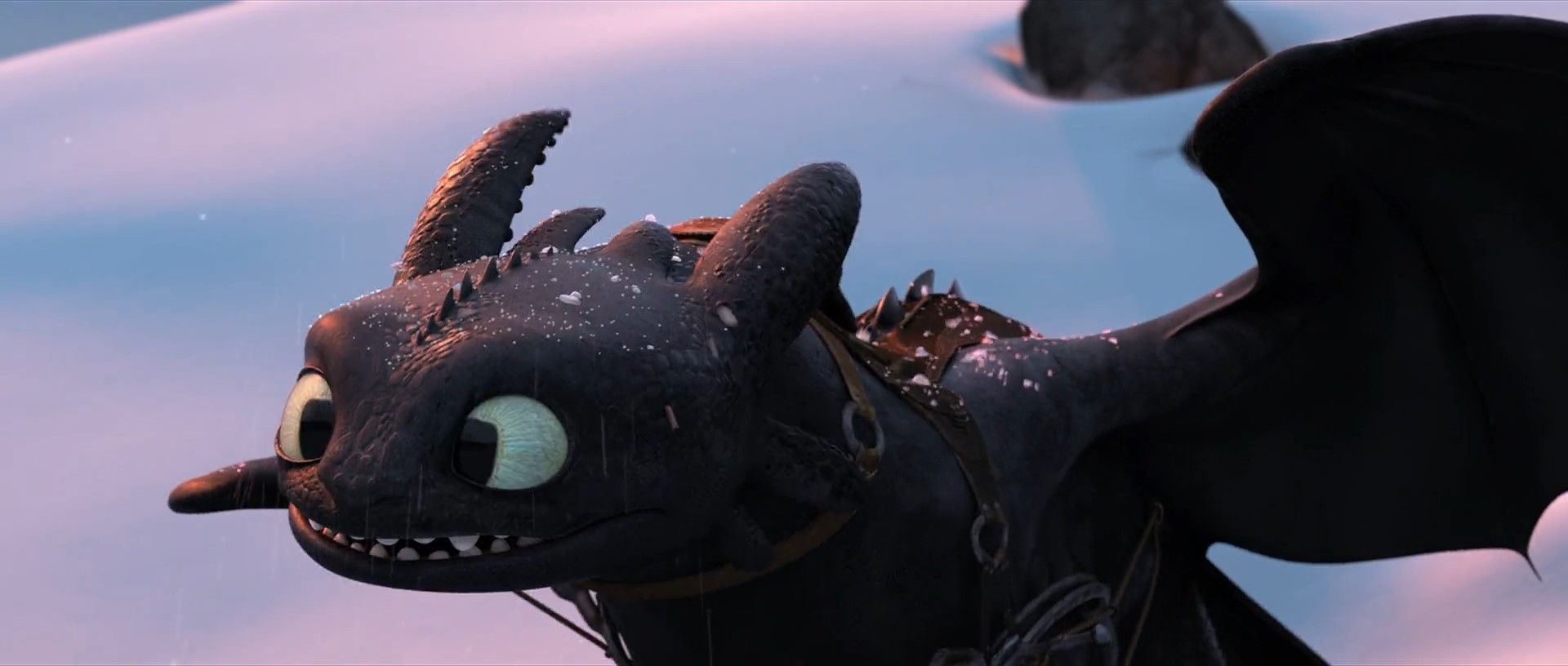Toothless Shot of the Day (#253) | Scrolller