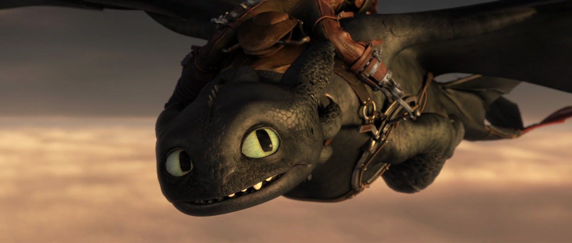 Toothless Shot of the Day (#320) | Scrolller