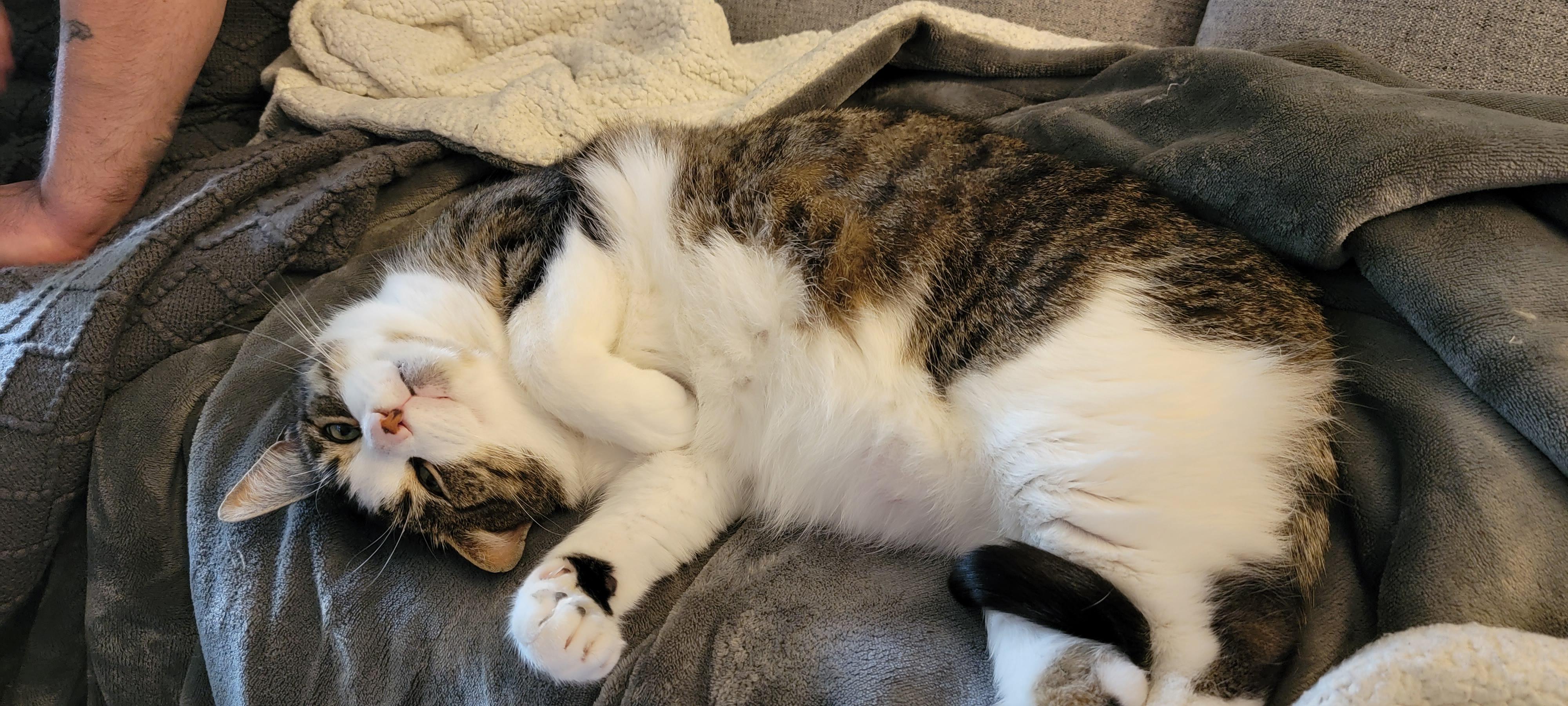Tootie with his belly out | Scrolller
