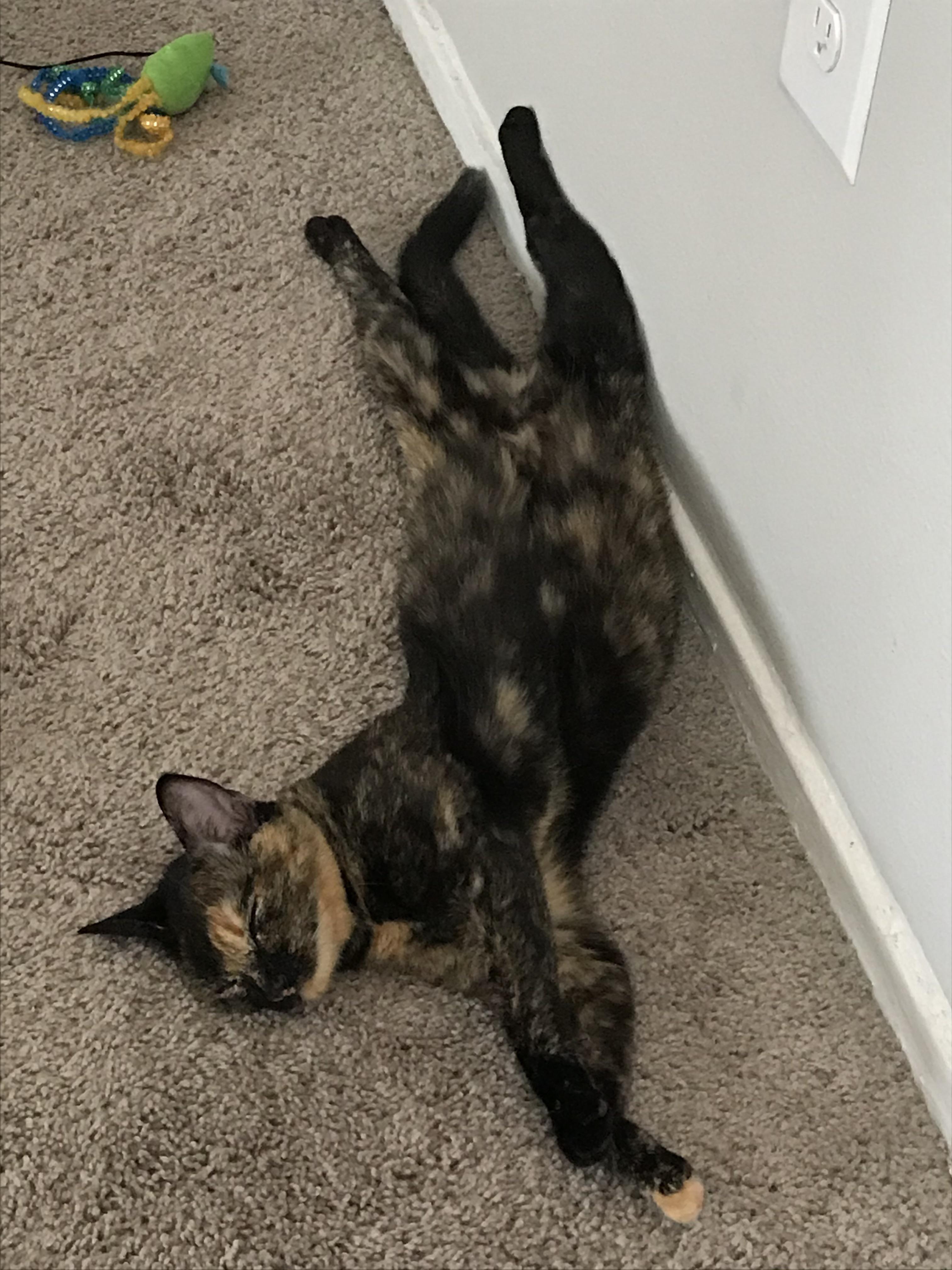 total relaxation mode | Scrolller