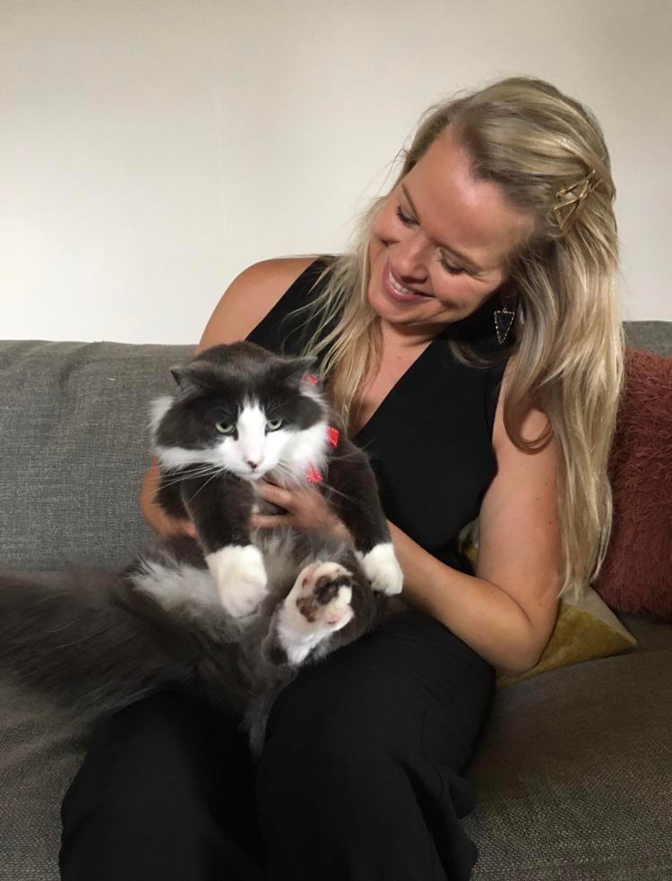 Totally impressed by his festive neck ribbon 🎄 | Scrolller