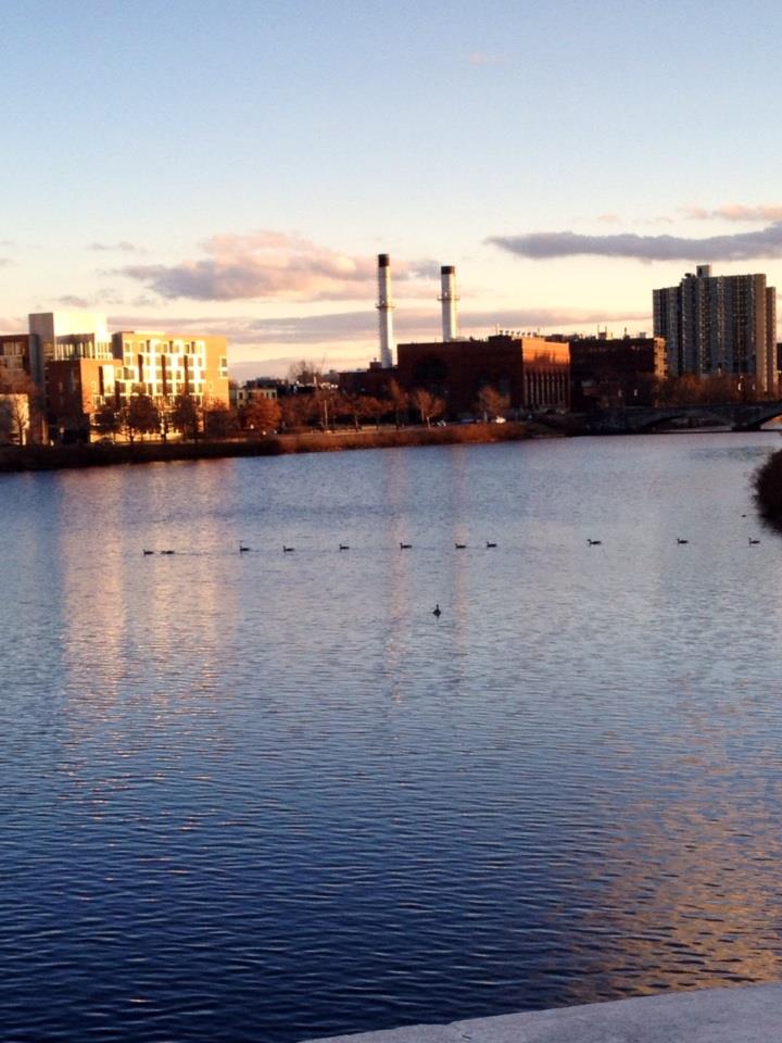 Traffic Jam on the Charles in Cambridge | Scrolller