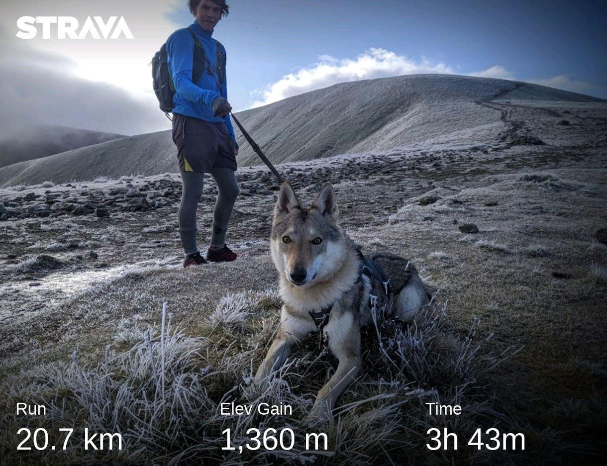Trail Running with my Dire Wolf | Scrolller