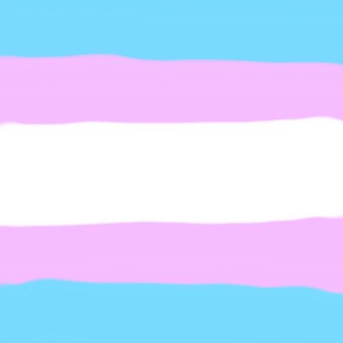 Trans Pride Flag | Scrolller