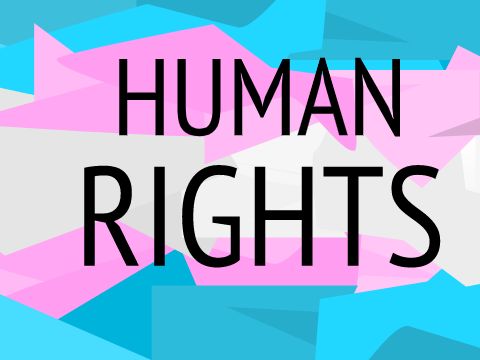 Trans Rights! | Scrolller