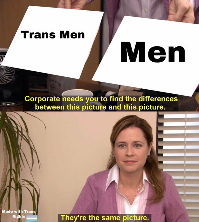 Trans rights! | Scrolller