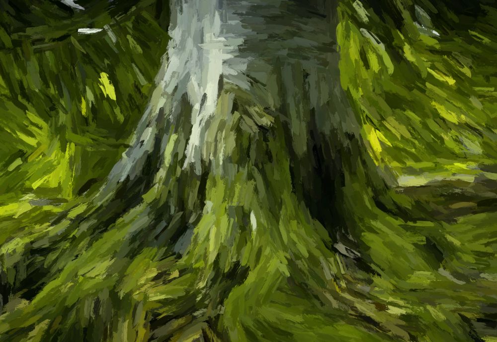 Tree trunk, GIMP, 1000x688 | Scrolller