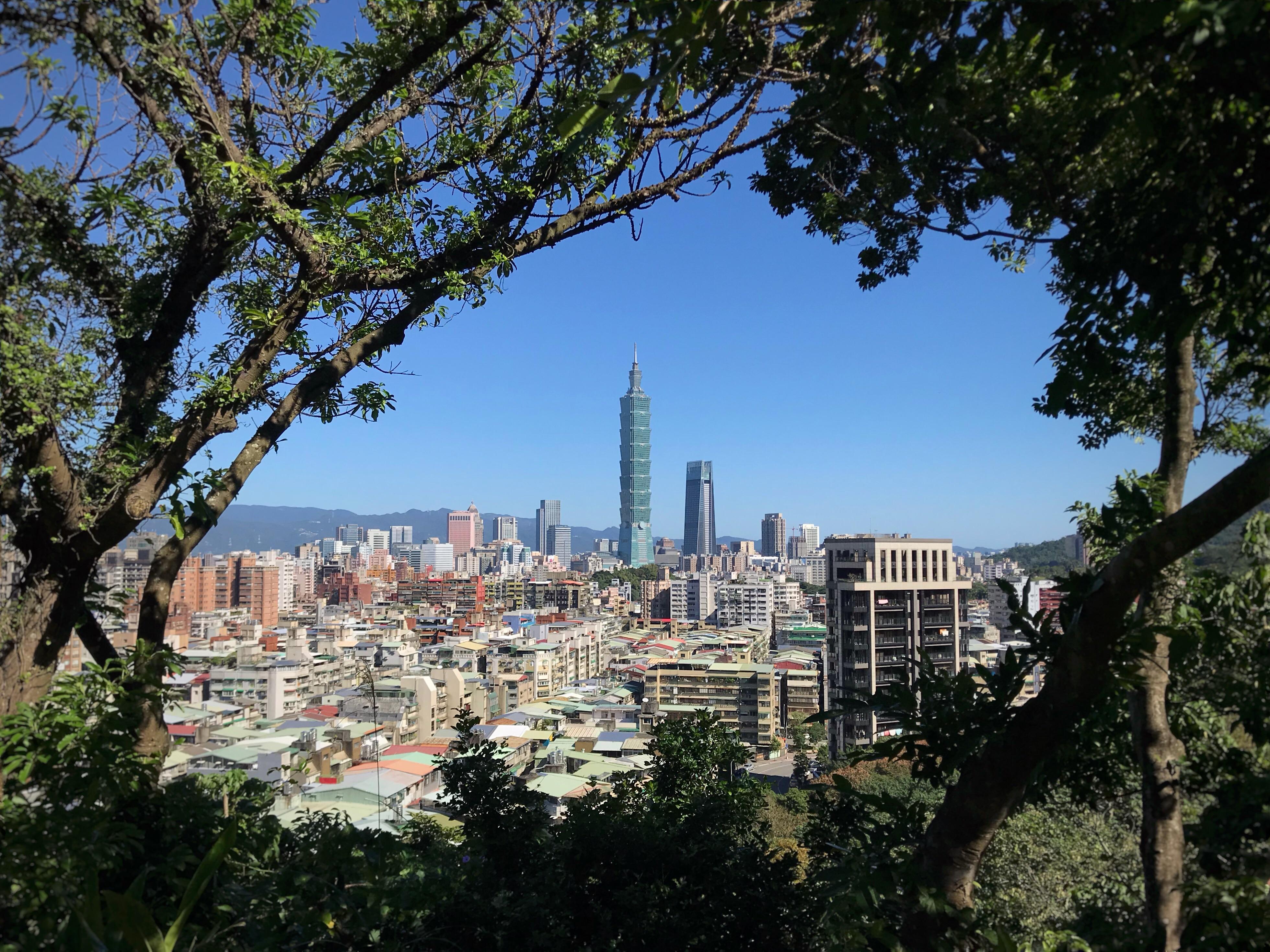 Trees framing Taipei 101 | Scrolller