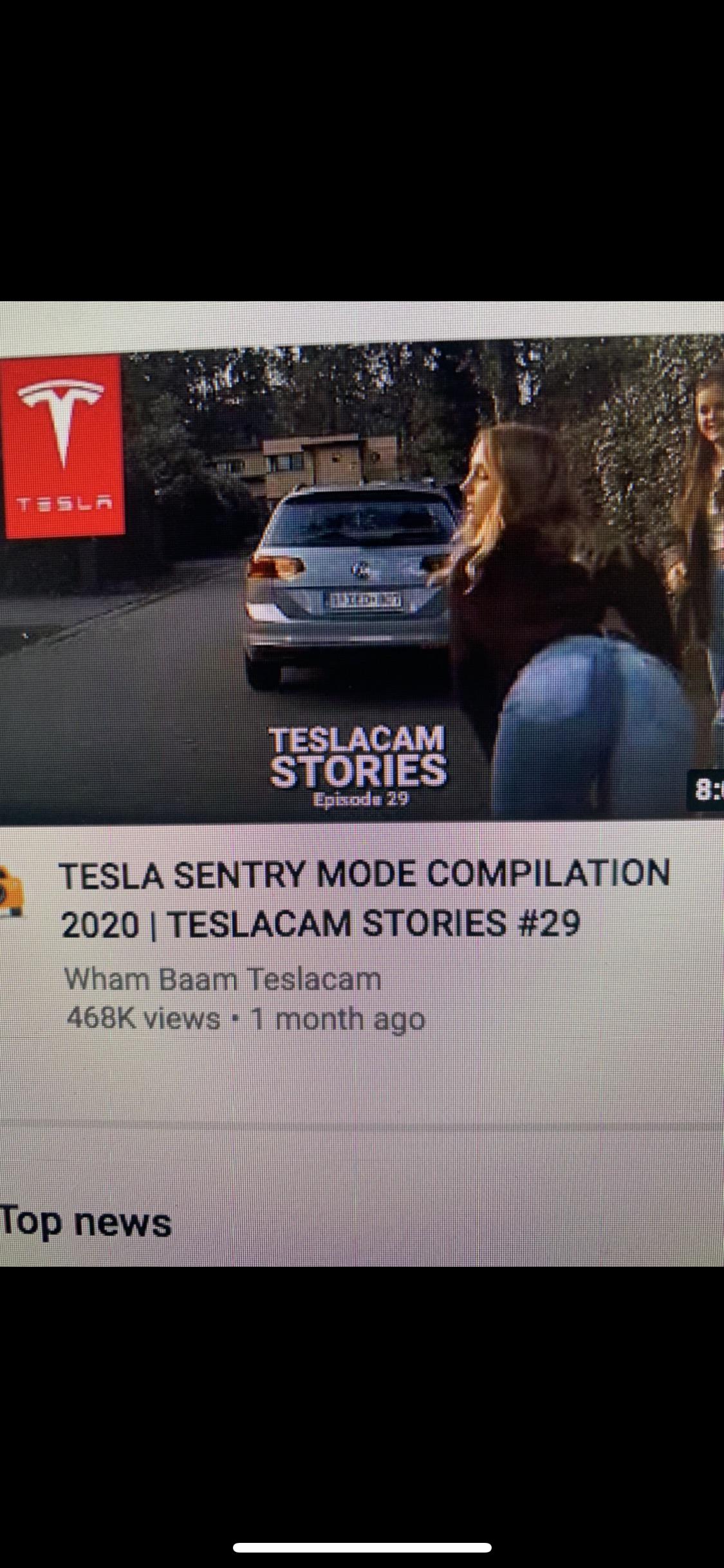 triggered 🧠 | Scrolller