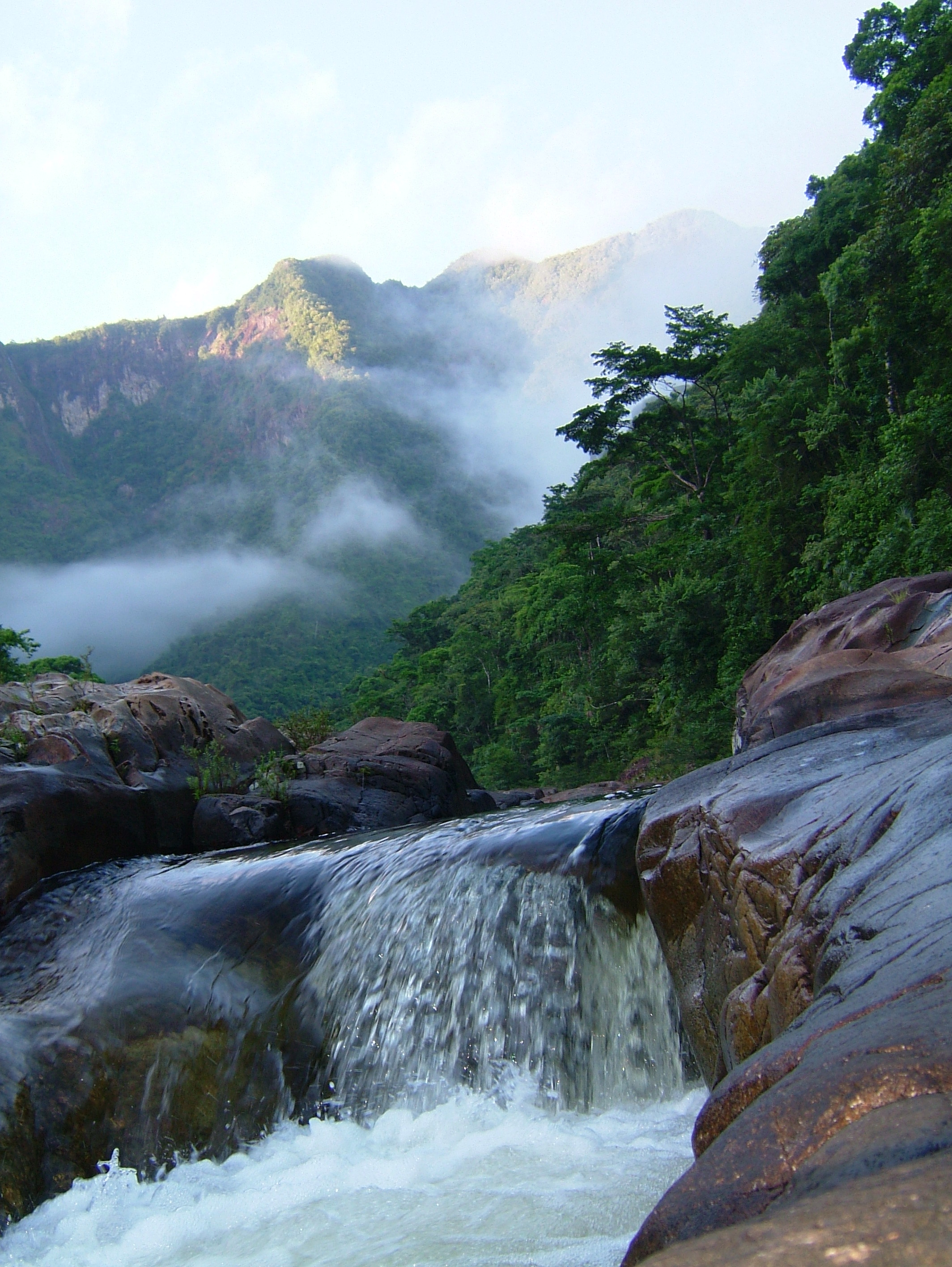 Tropical Belize | Scrolller