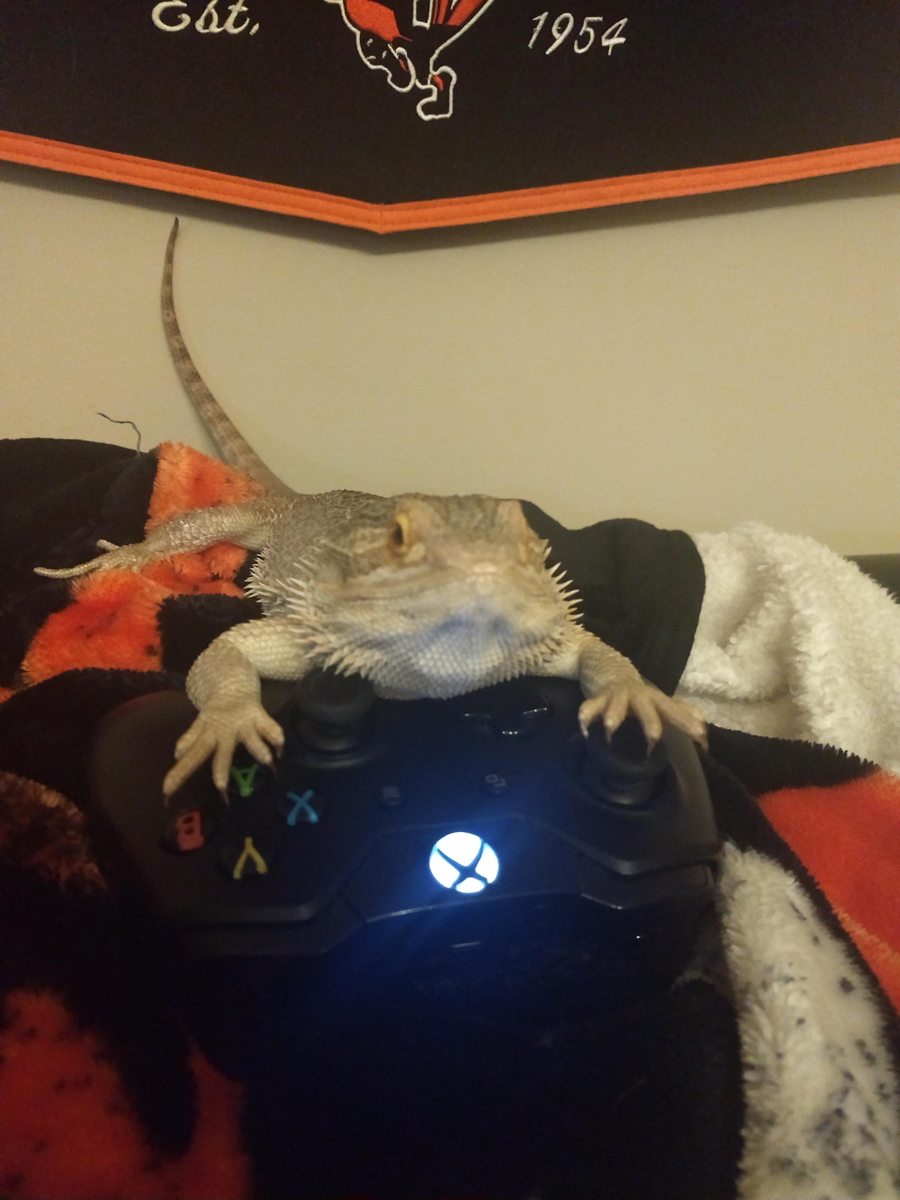 True Legendary Gamer | Scrolller