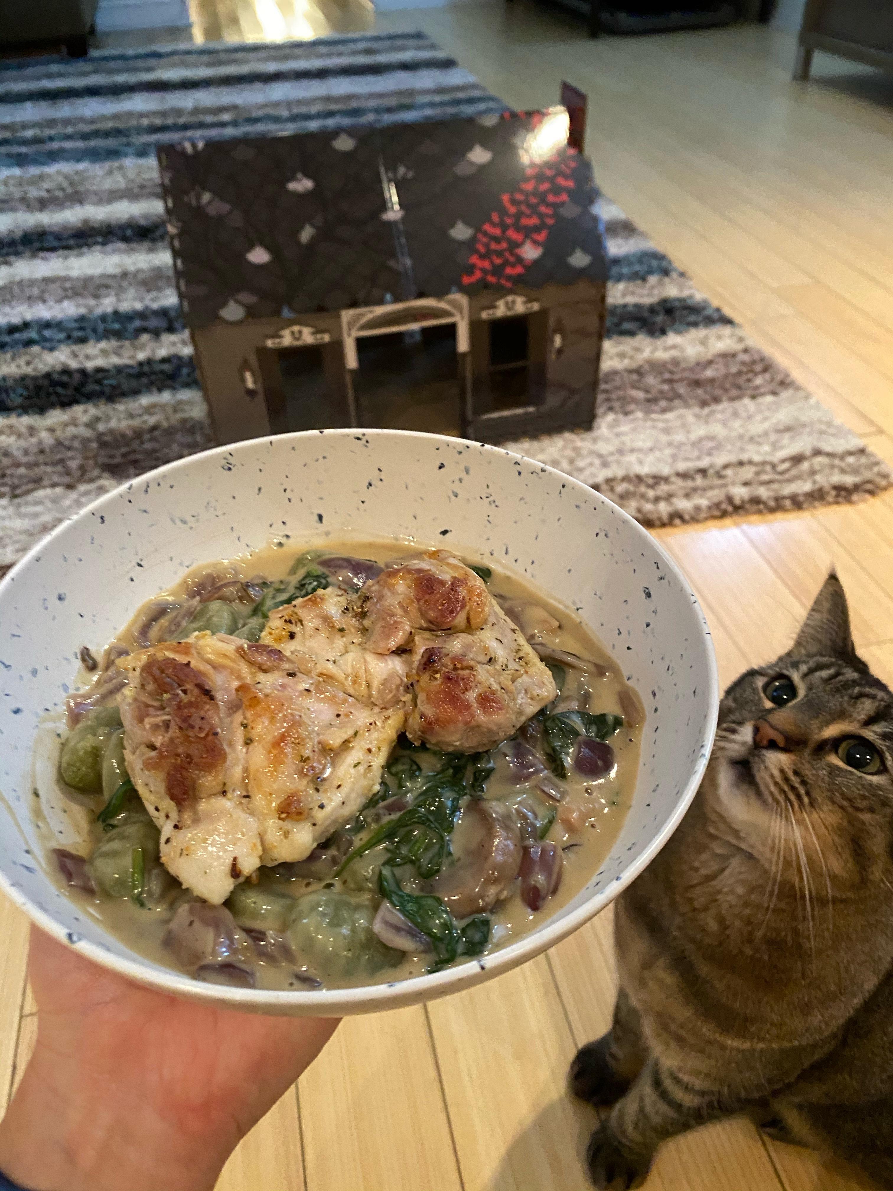 True life: I’m addicted to aldi | Scrolller