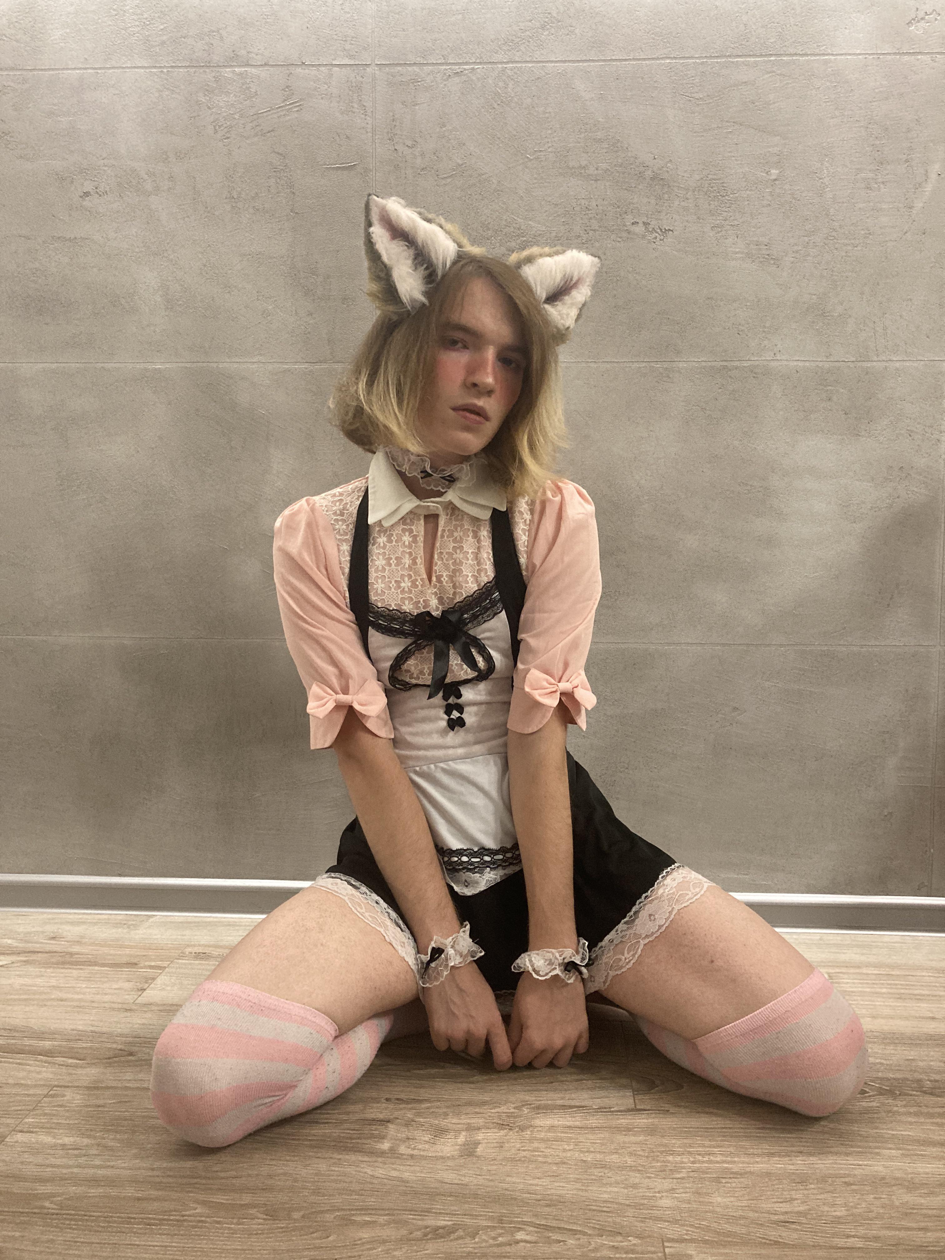 tsundere catboy maid | Scrolller