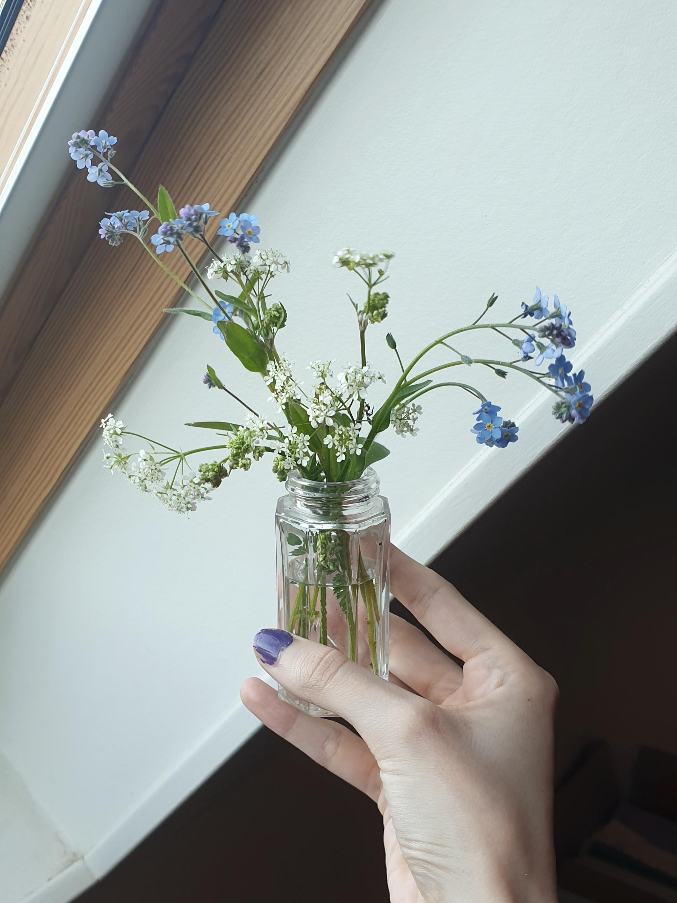 [TTM] Back from the forest, I put them in a salt shaker | Scrolller
