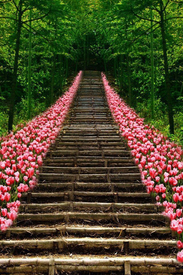 Tulip lined staircase in Kyoto, Japan | Scrolller