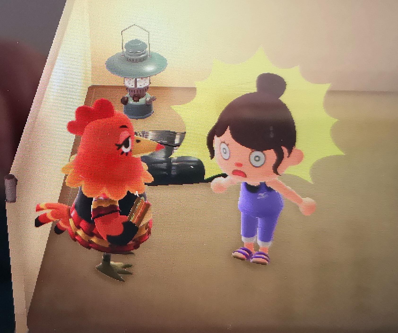 Turkey Day Eve and Broffina shows up! What was she thinking? | Scrolller