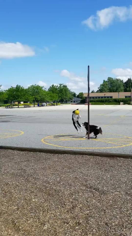 Two Good Boys playing a friendly game of teatherball | Scrolller