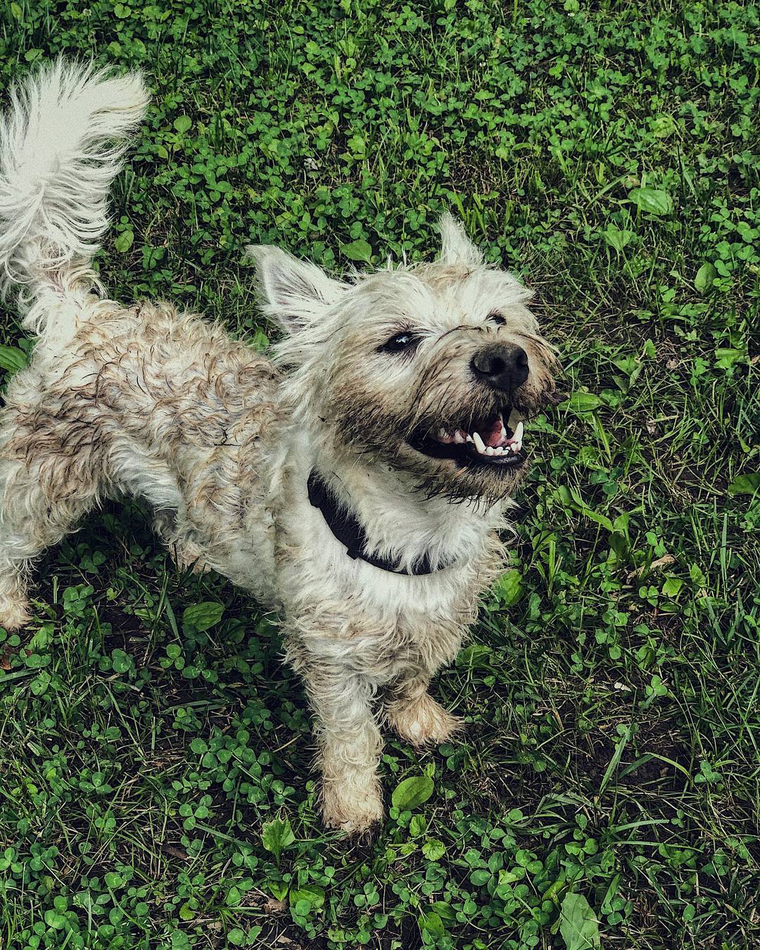 Two hours after a regular bath we decide to take a mud bath. | Scrolller