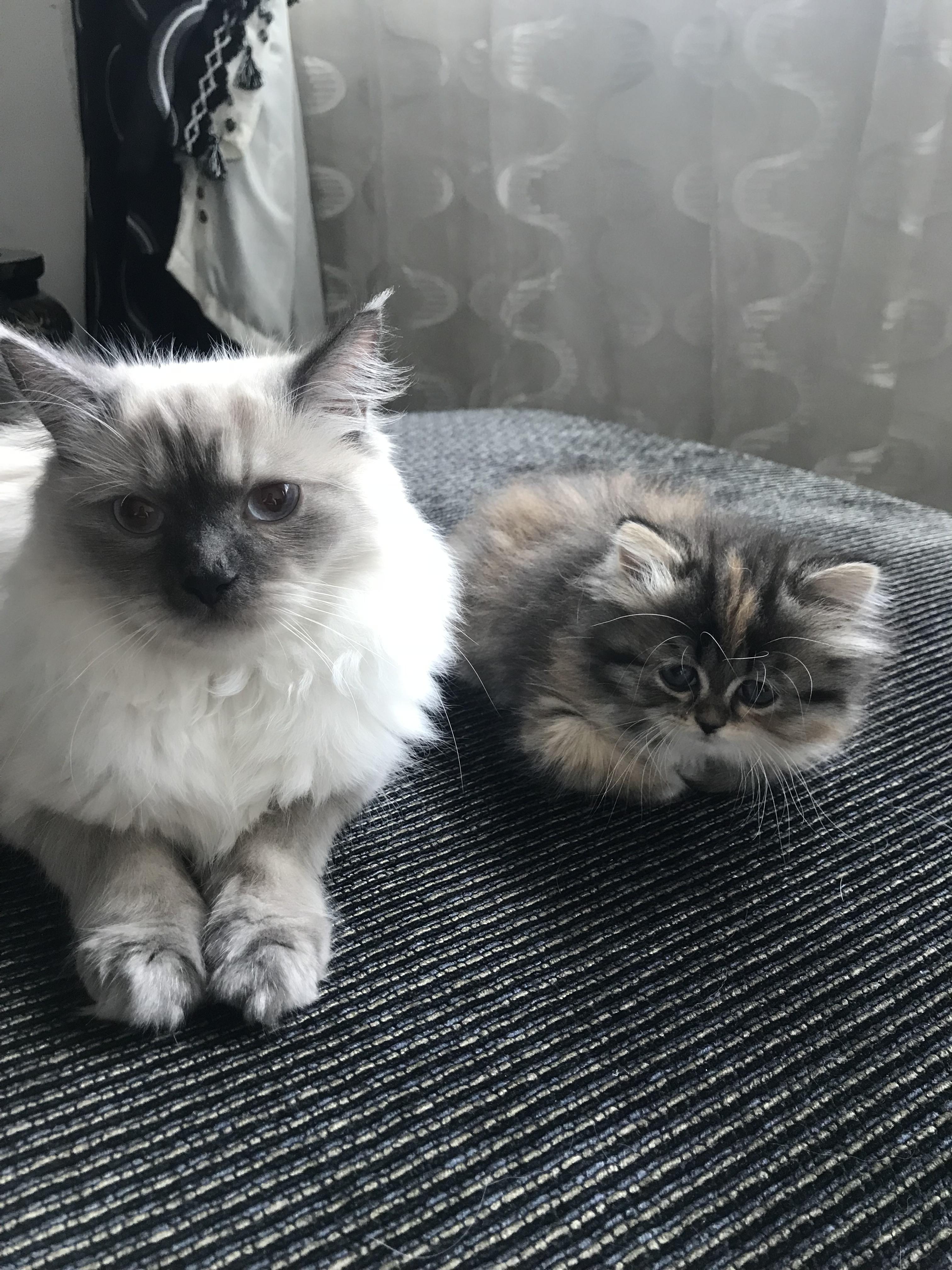 Two loaves loafing around | Scrolller