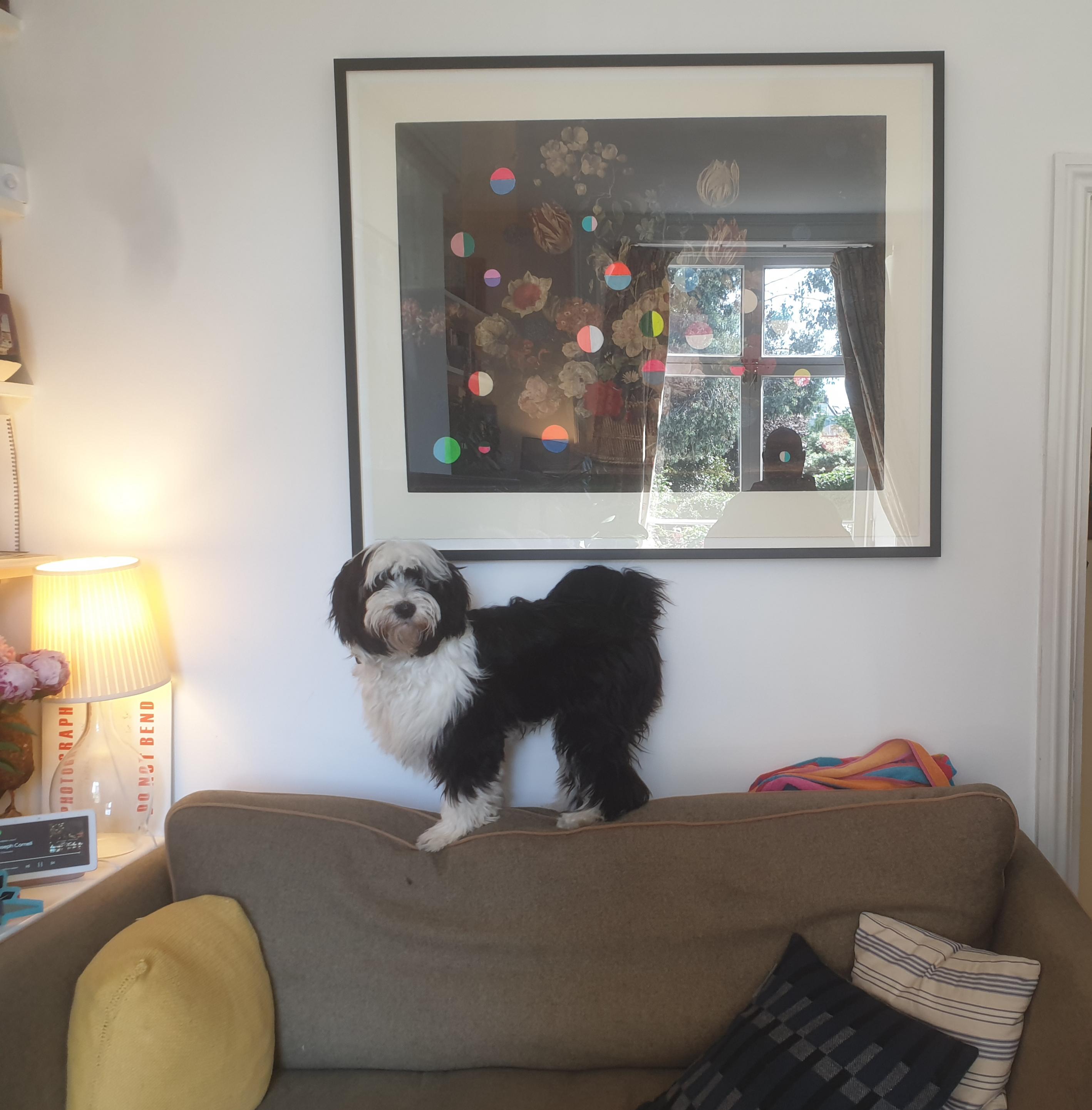 Two weeks with Ralph | Scrolller