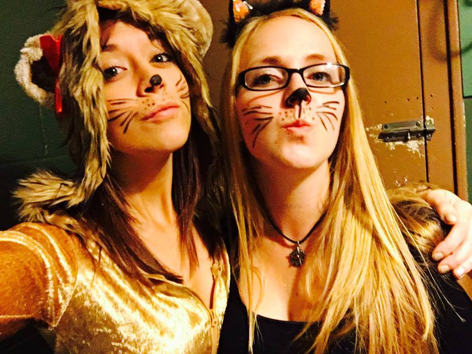 Two wild cats | Scrolller