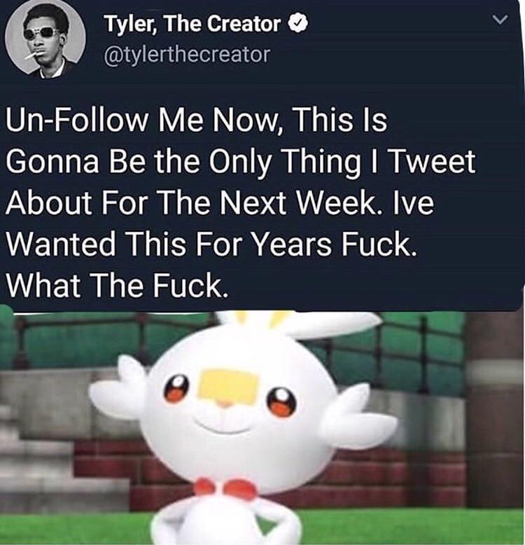 Tyler the creator is teamscorbunny | Scrolller