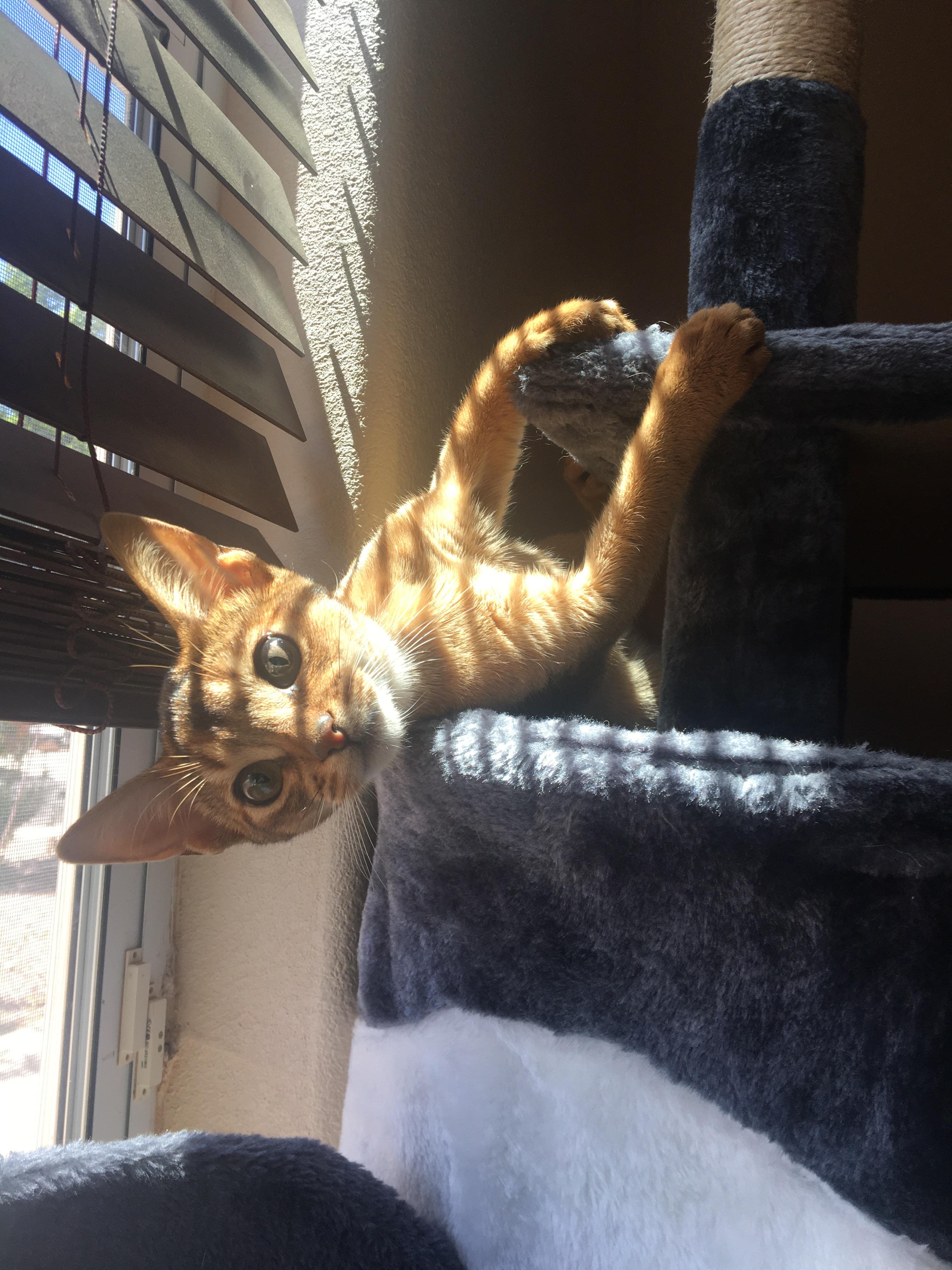 Typical Abby goofball charm | Scrolller