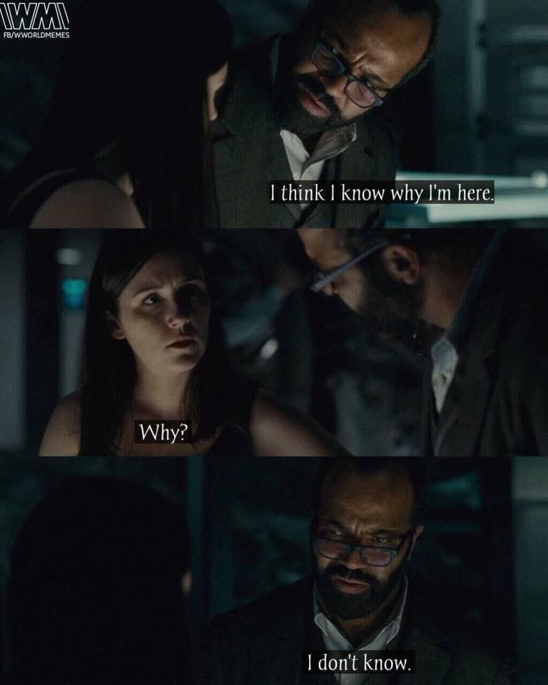 Typical Bernard.... | Scrolller