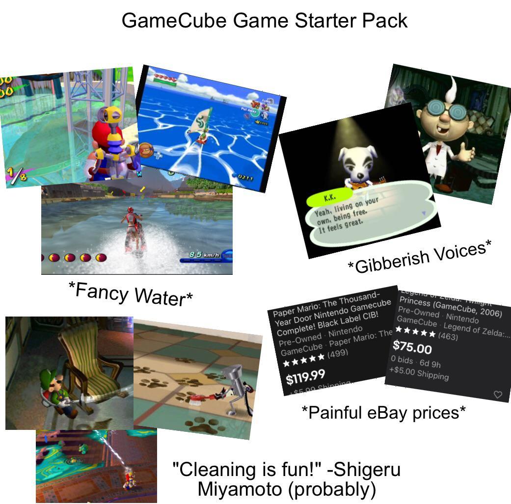 Typical GameCube Game Starter Pack | Scrolller