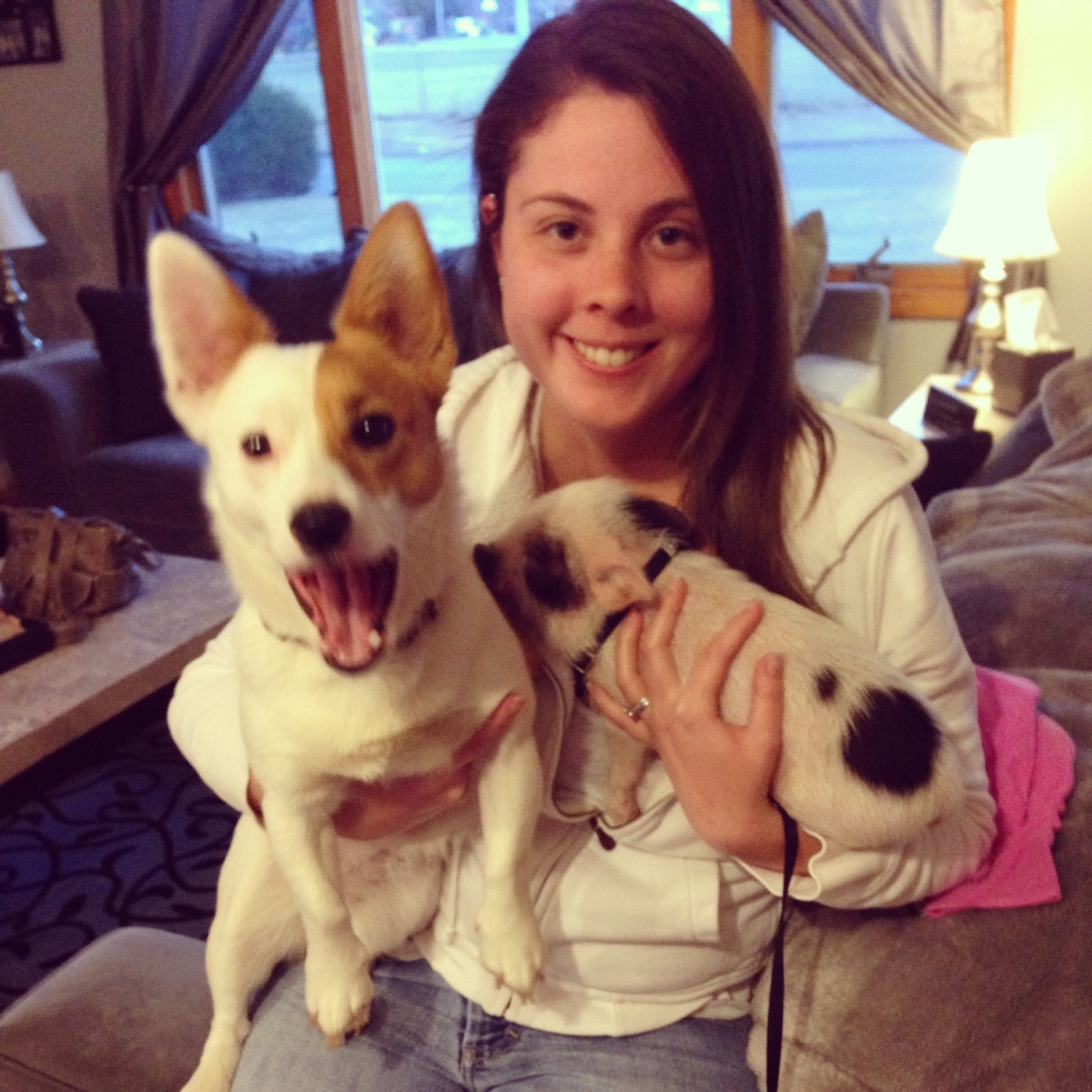 /u/aujourdoof's sis cuddling corgi and pig | Scrolller