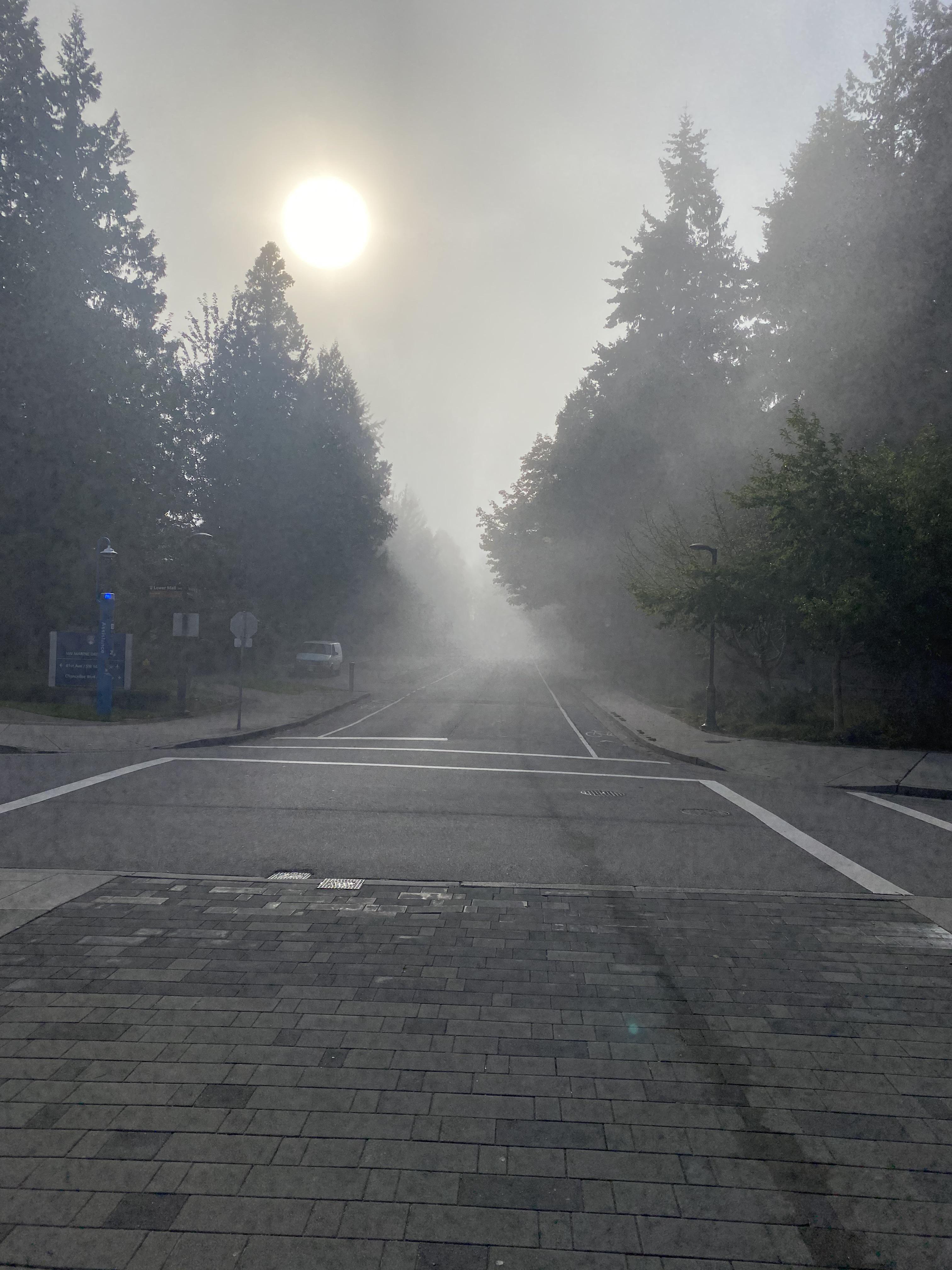UBC has been super foggy recently | Scrolller