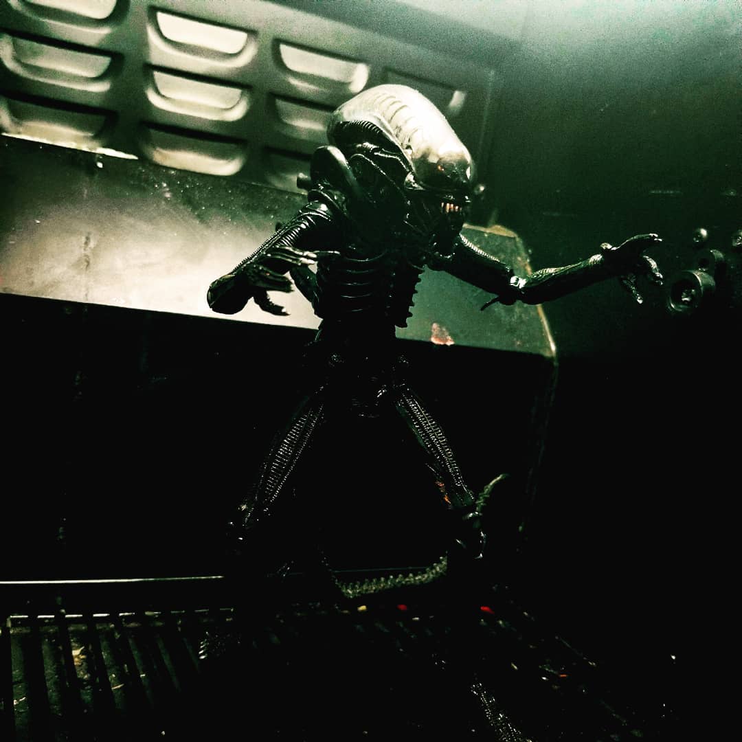 Ultimate Big Chap | Scrolller