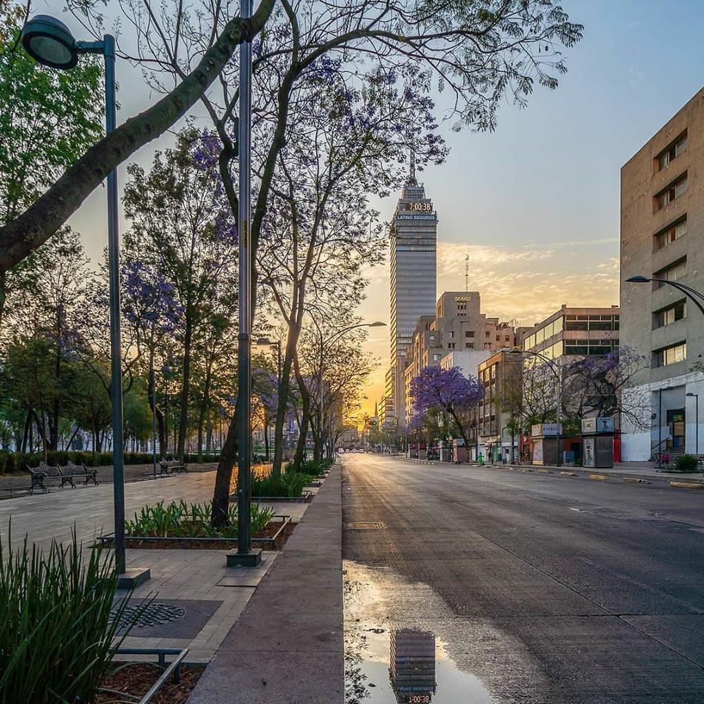 Una ciudad desolada! Cdmx | Scrolller