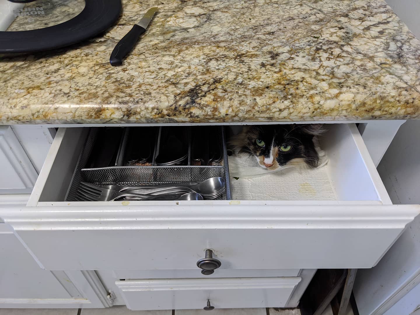 Unconventional trap | Scrolller