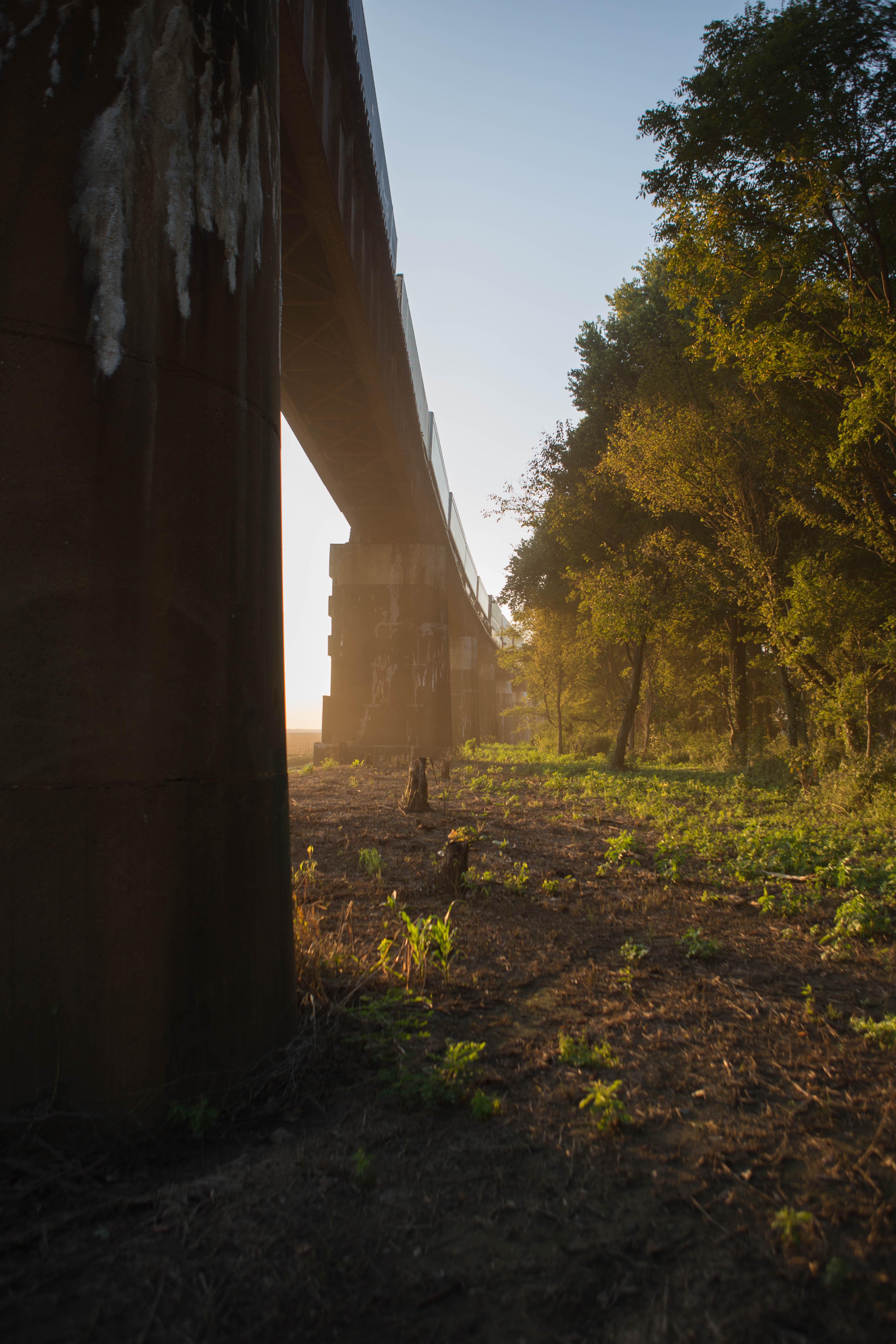 Under a train bridge | Scrolller