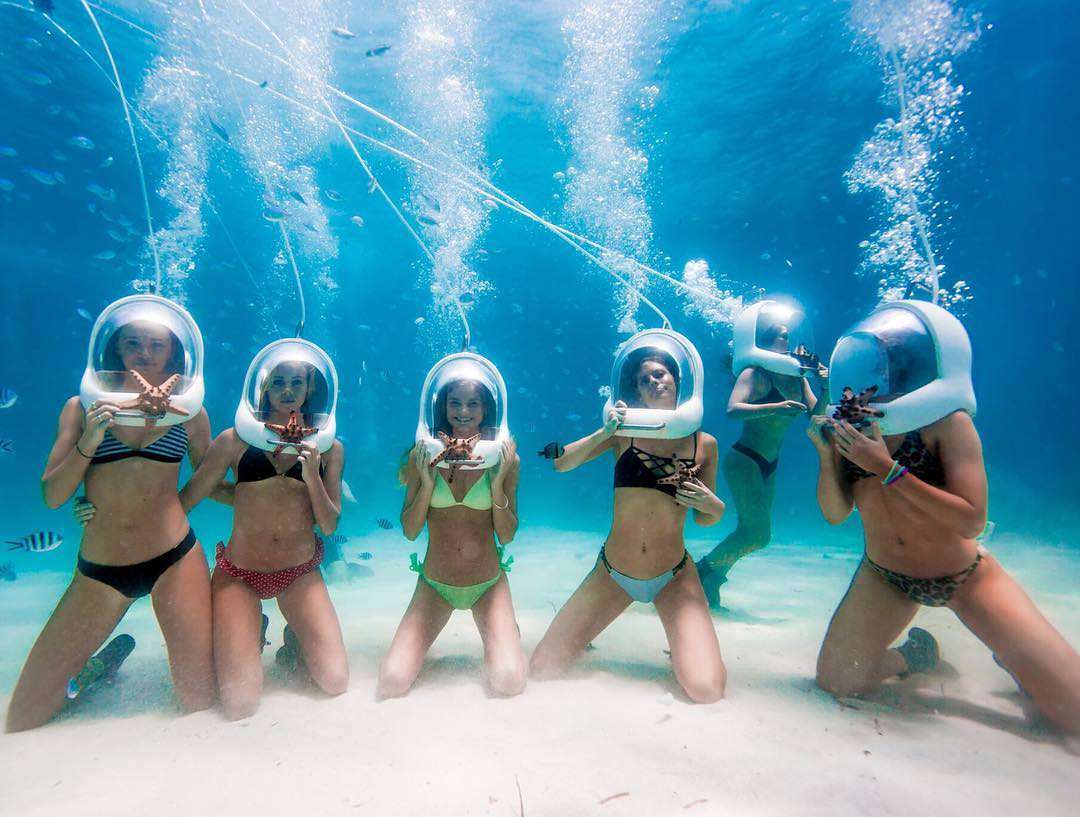 Under the sea | Scrolller