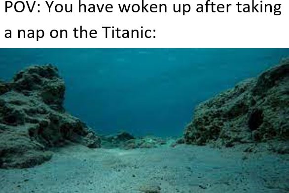 Under the sea! | Scrolller