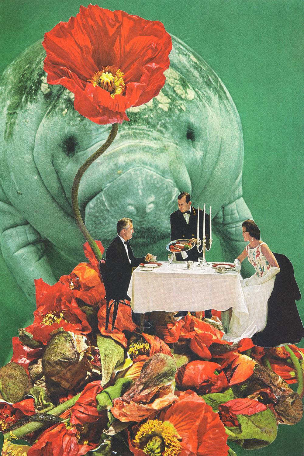 Under Watchful Eyes [analog] | Scrolller