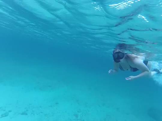 Underwater Flash | Scrolller