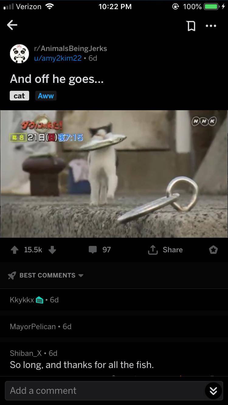 Unexpected Hitchhiker | Scrolller