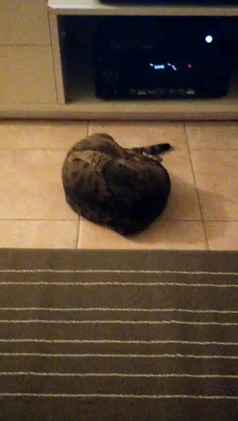 Unintentional flip. "WTF just happened?" | Scrolller