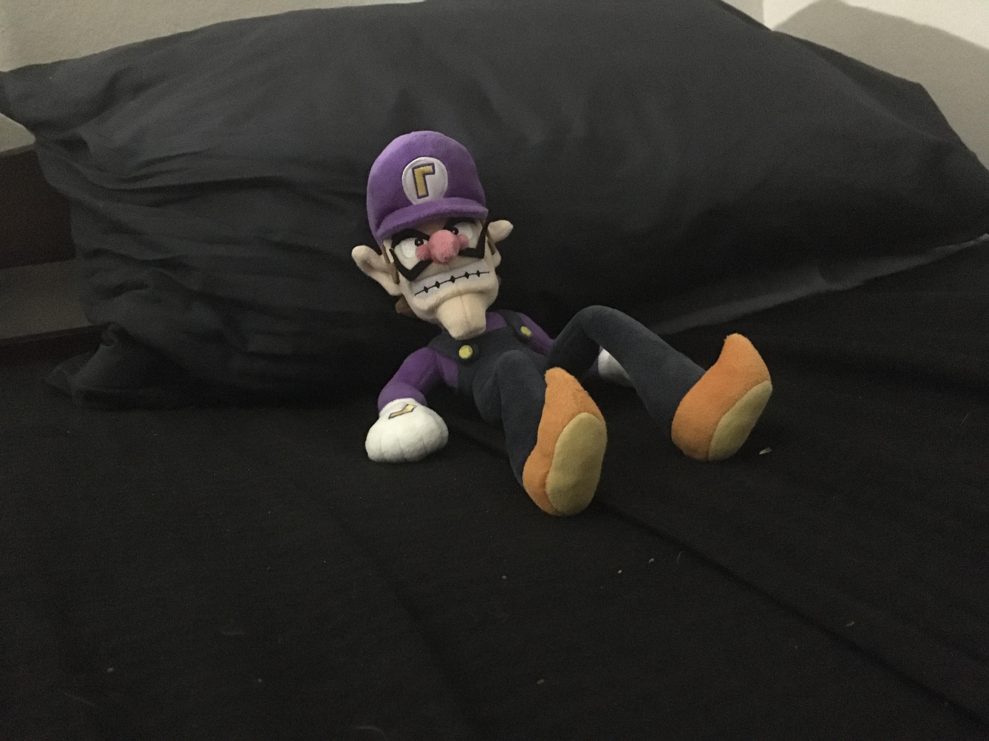 UPDATE: I love my Waluigi plush | Scrolller