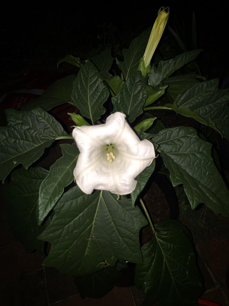 UPDATE: She opened up as expected🤪 | Scrolller