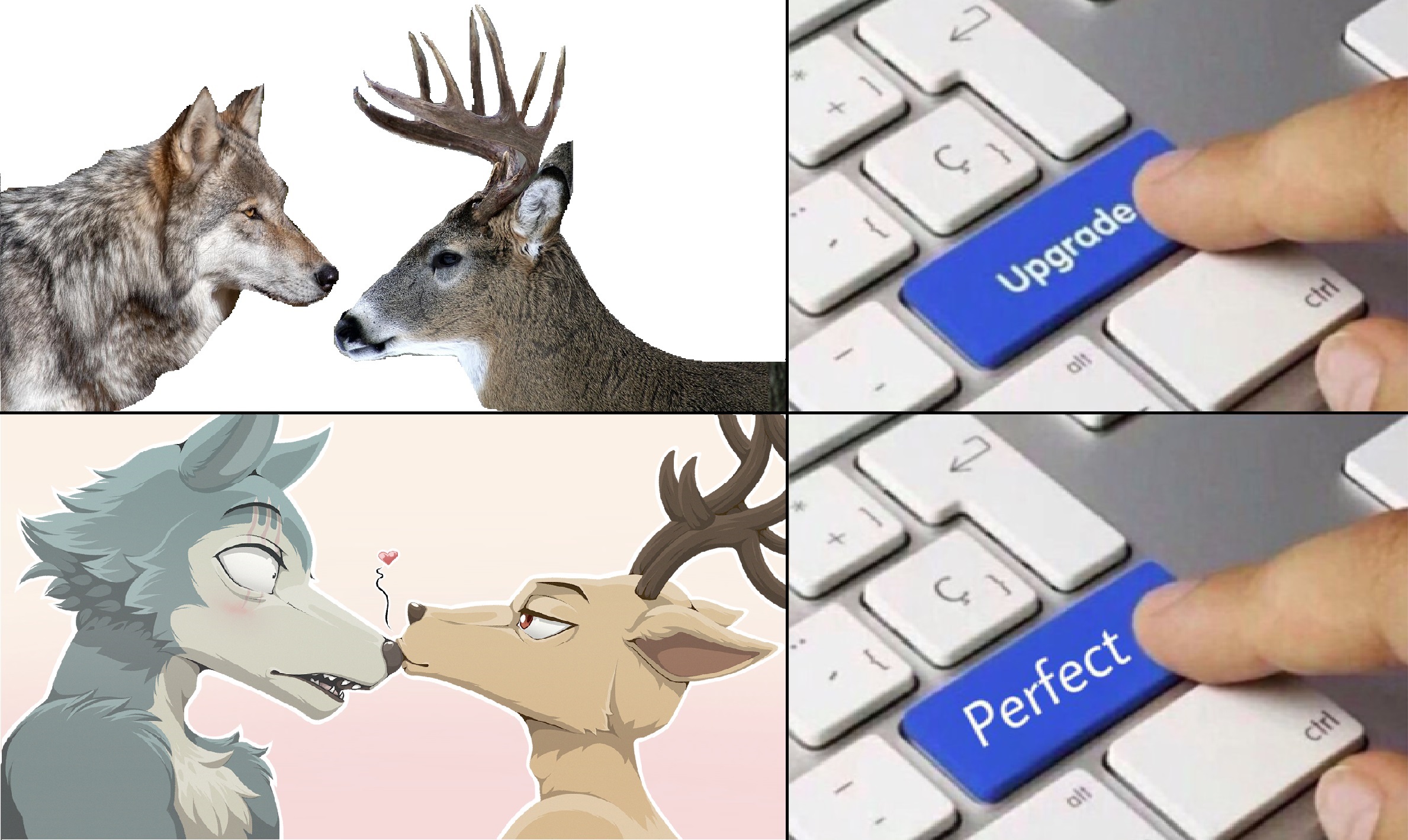 upgrade_irl | Scrolller