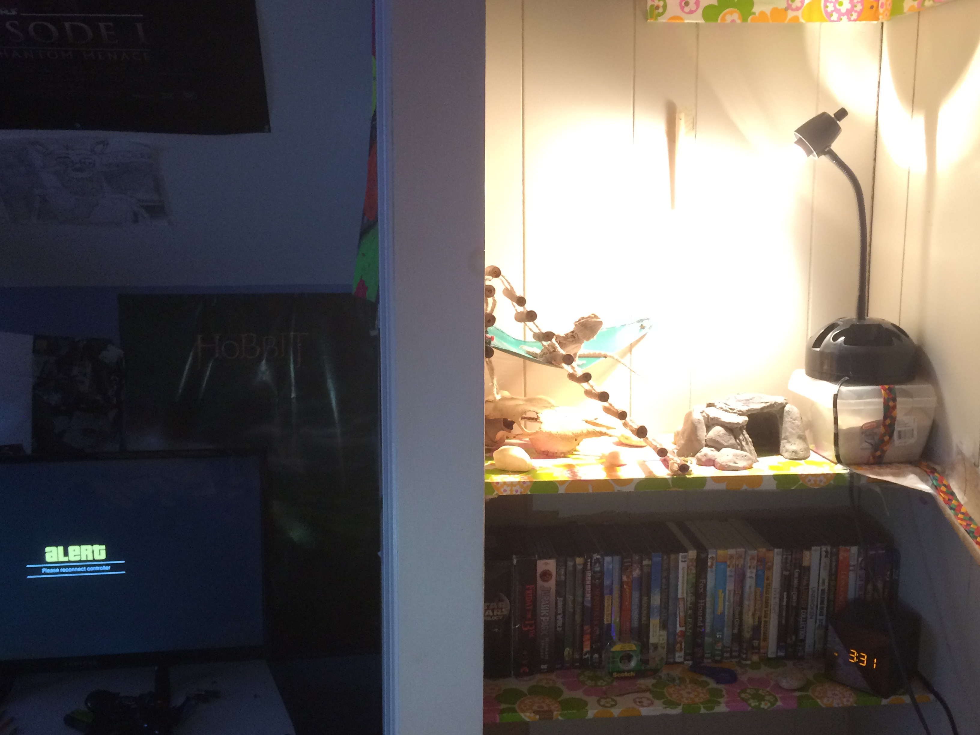 Upgraded Outside Basking Spot! | Scrolller